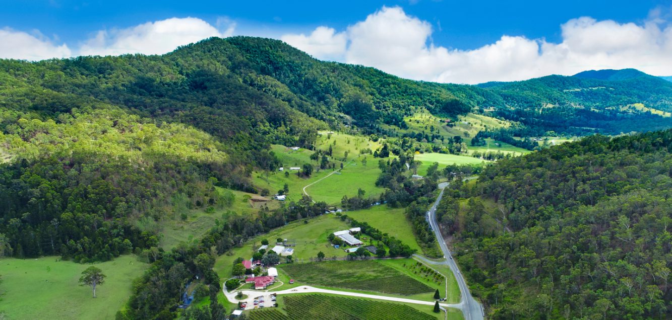 Our History - O'Reilly's Canungra Valley Vineyards
