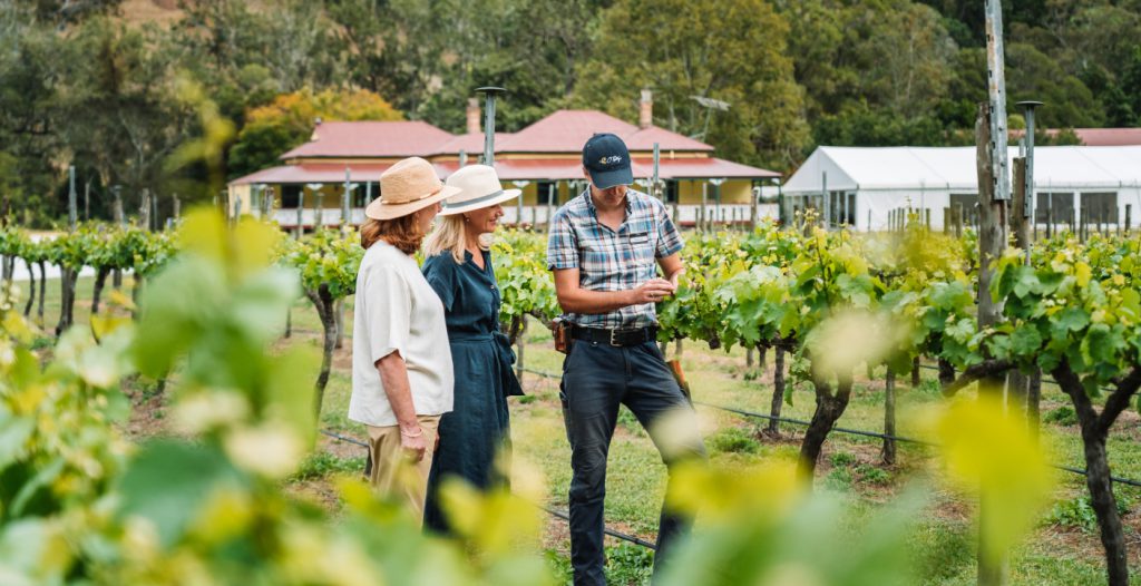 Vineyard Kitchen - O'Reilly's Canungra Valley Vineyards