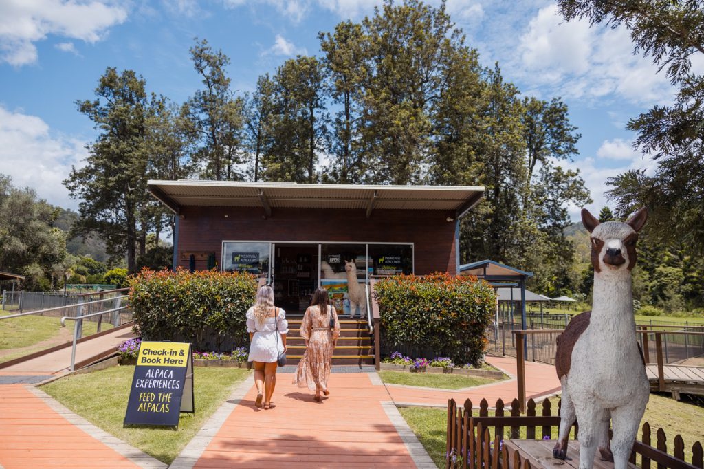Mountview Alpaca Farm - O'Reilly's Canungra Valley Vineyards
