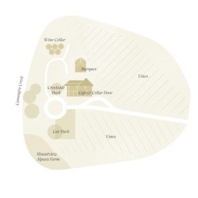 Cafe - O'Reilly's Canungra Valley Vineyards