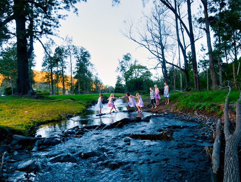Our Venue - O'Reilly's Canungra Valley Vineyards